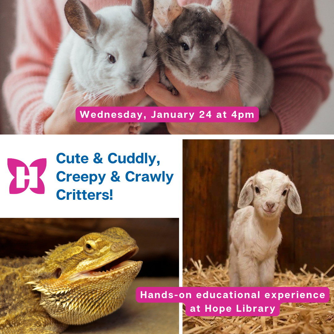 Hope Library | Hope, Rhode Island