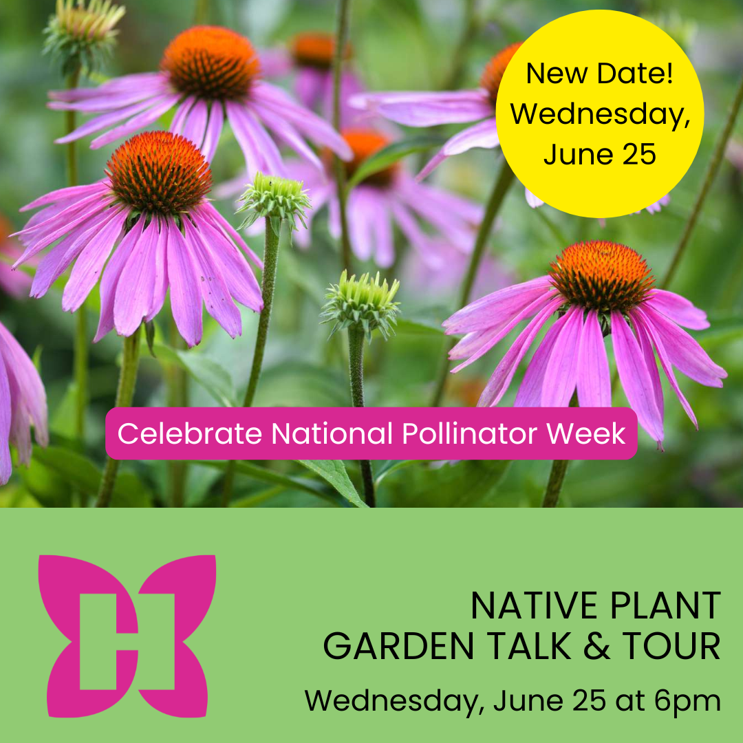 Hope Library | Hope, Rhode Island